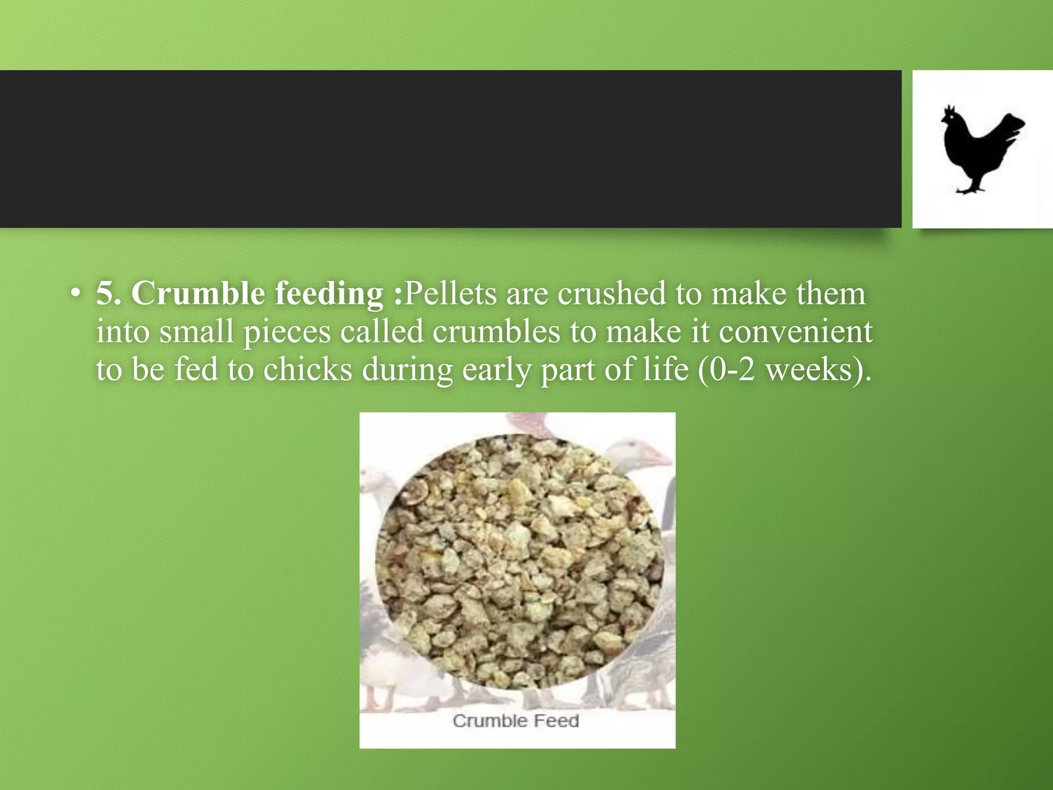 Common feedstuffs for poultry and nutrient requirement of poultry feed ...