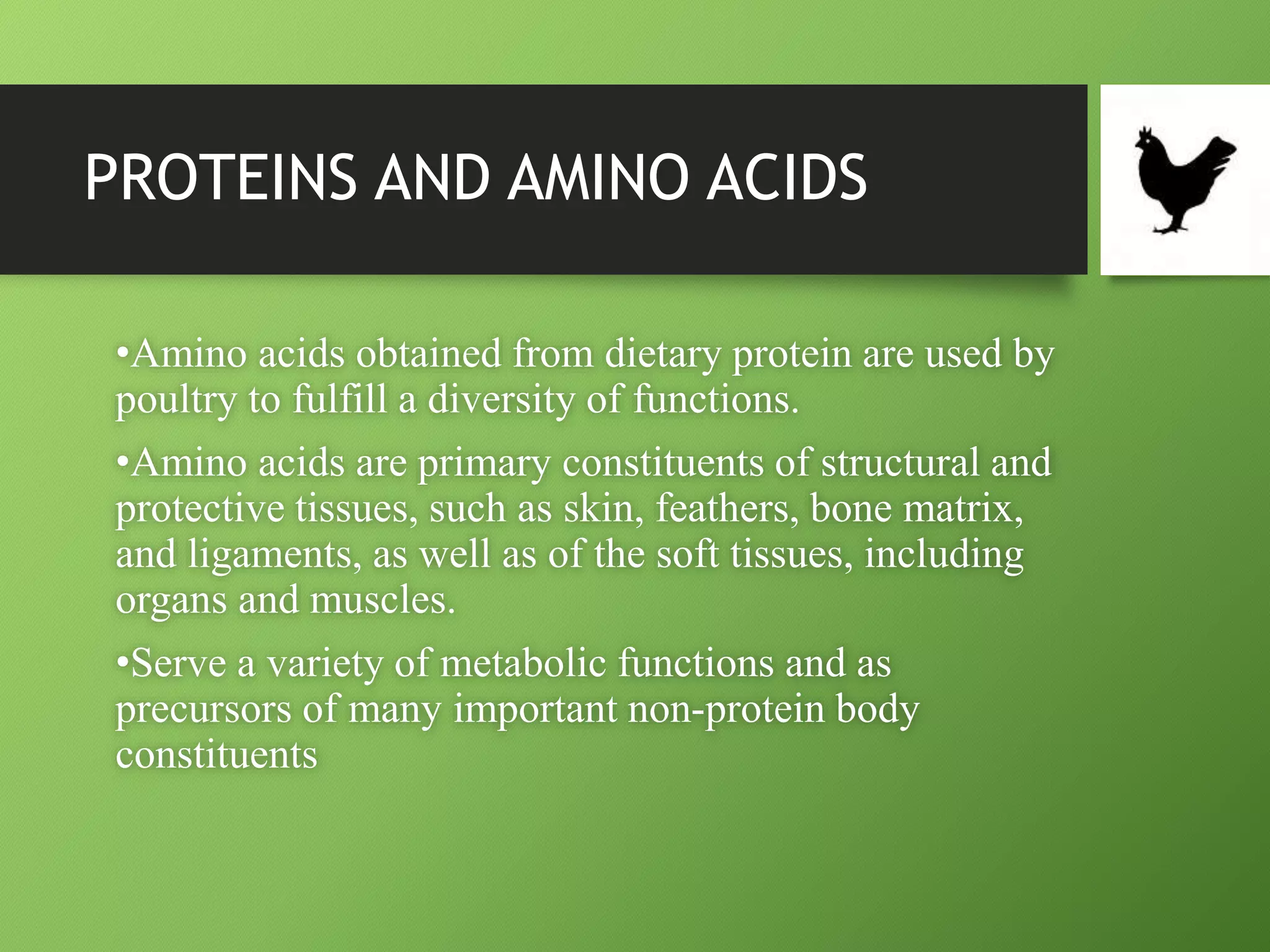 Common feedstuffs for poultry and nutrient requirement of poultry feed ...
