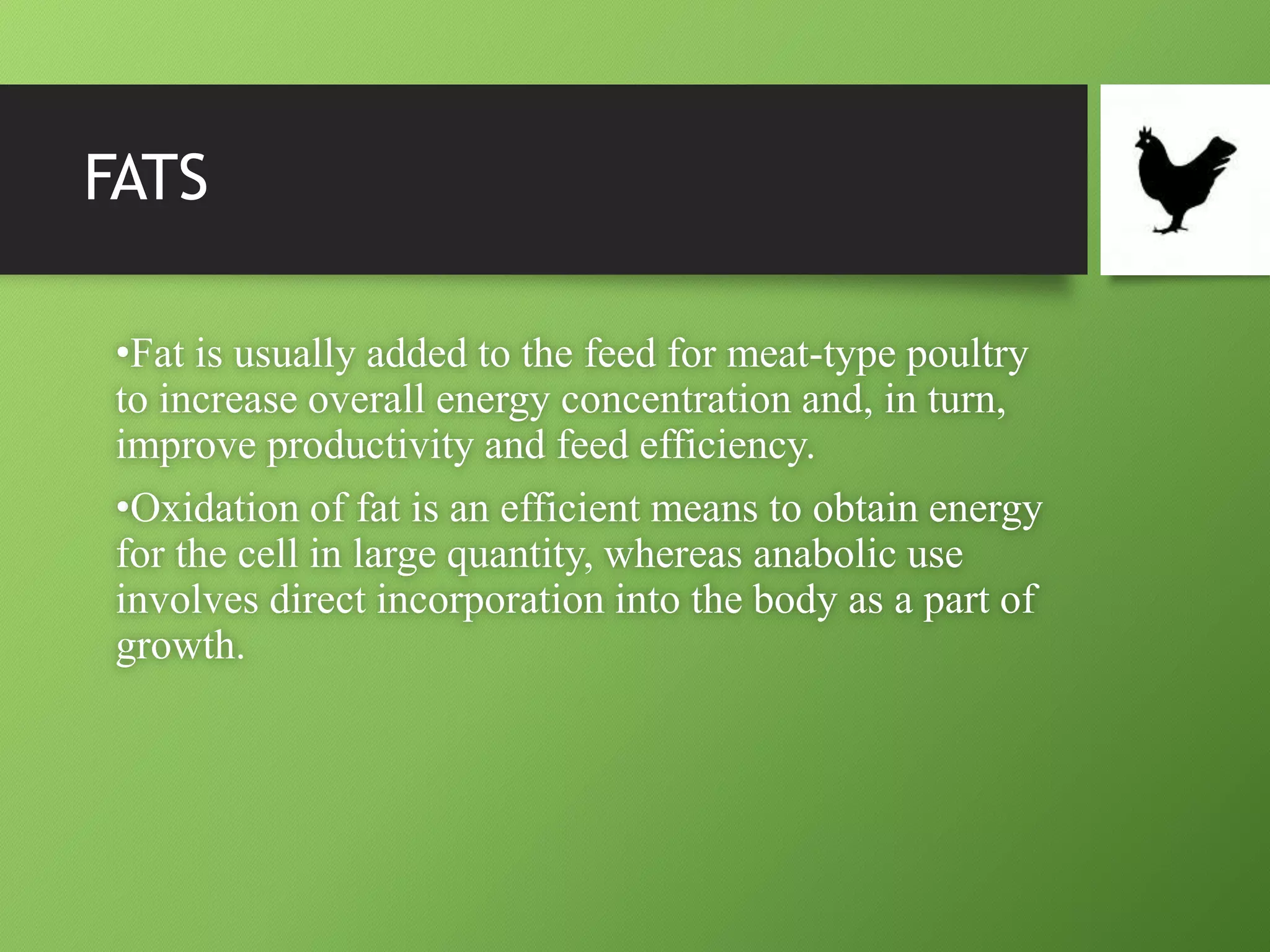 Common feedstuffs for poultry and nutrient requirement of poultry feed ...