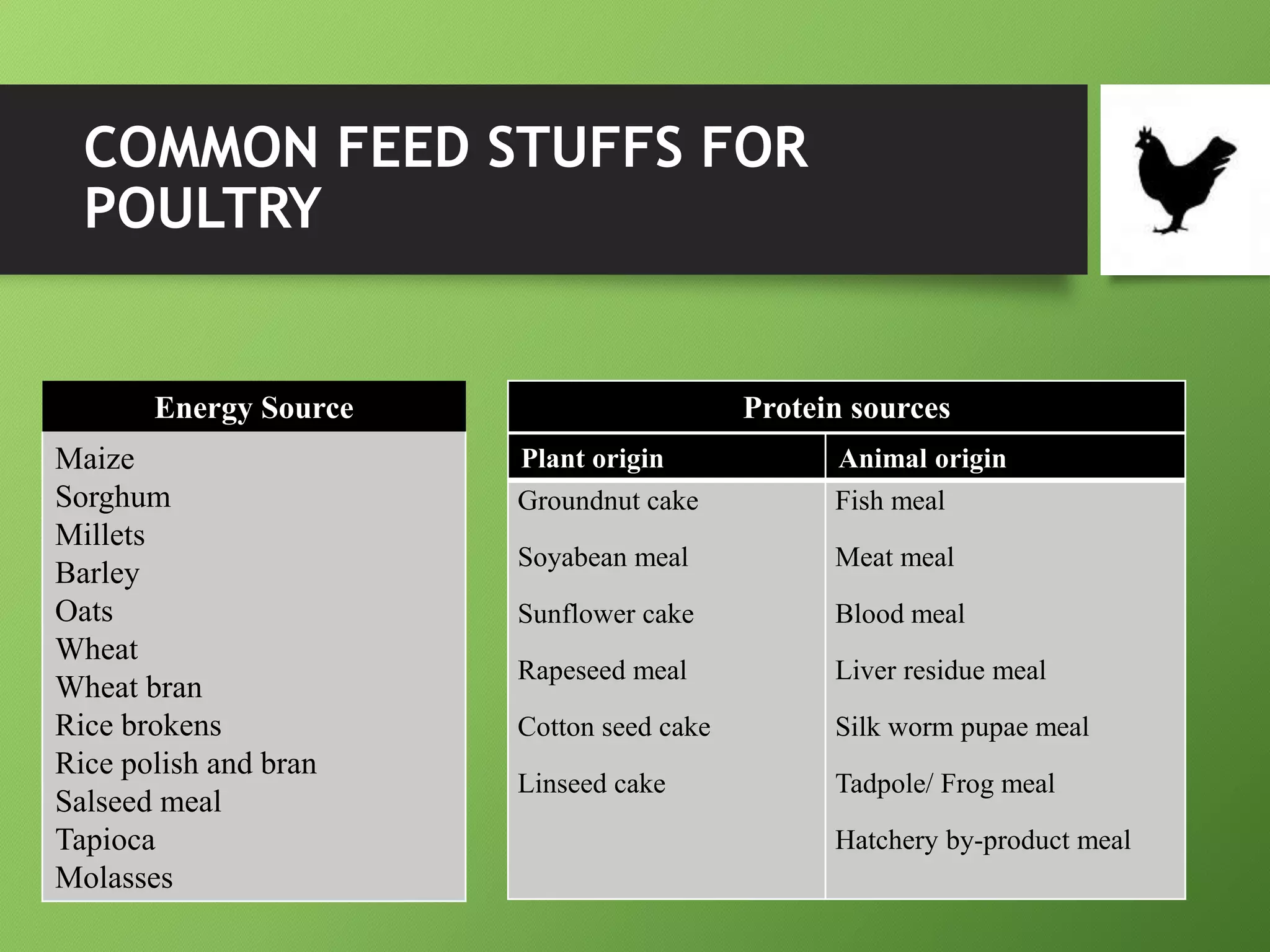 Common feedstuffs for poultry and nutrient requirement of poultry feed ...