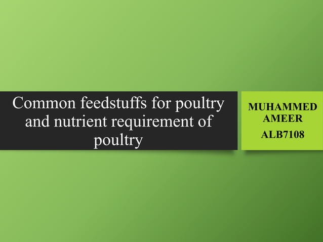 Common feedstuffs for poultry and nutrient requirement of poultry feed ...