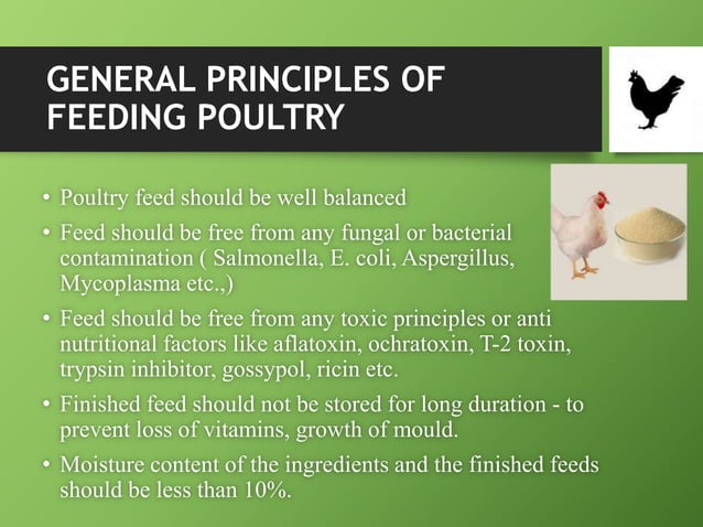 Common feedstuffs for poultry and nutrient requirement of poultry feed ...