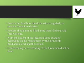 Common feedstuffs for poultry and nutrient requirement of poultry feed ...
