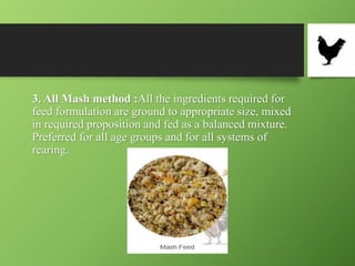 Common feedstuffs for poultry and nutrient requirement of poultry feed ...