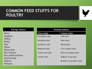 Common feedstuffs for poultry and nutrient requirement of poultry feed ...