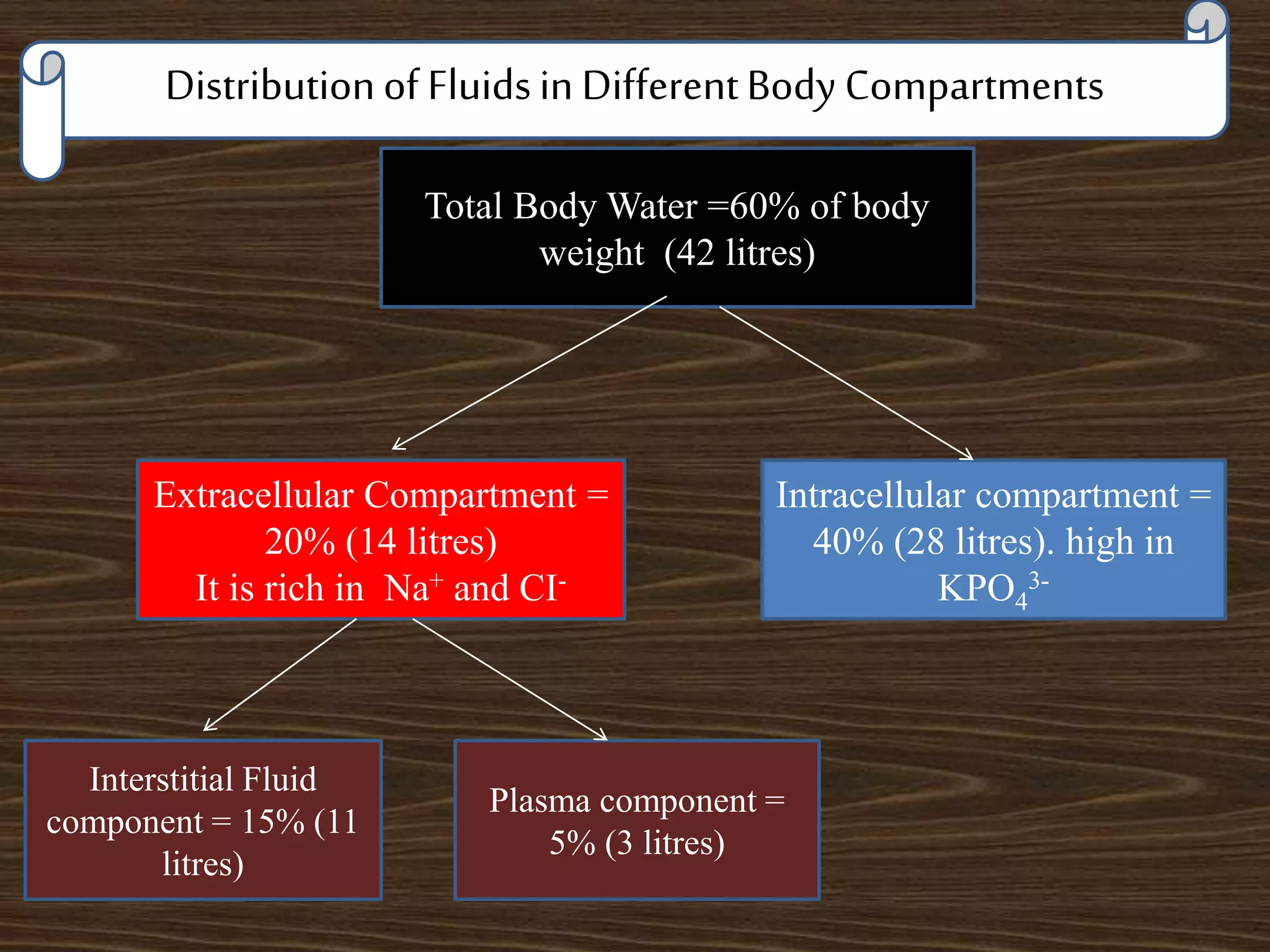 Common fluids used in anaesthesia and fluid therapy | PPTX | First Aid ...