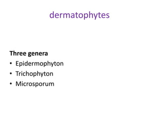 Common fungal infections.pptx