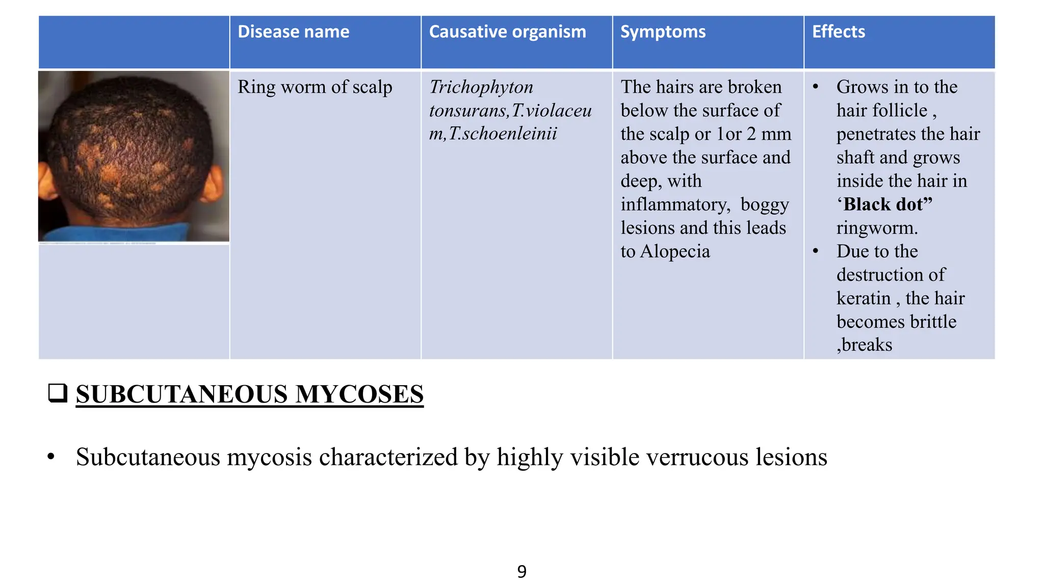 COMMON FUNGAL PARASITES OF PLANTS AND HUMANS | PPTX