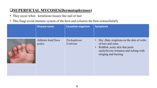 COMMON FUNGAL PARASITES OF PLANTS AND HUMANS | PPTX