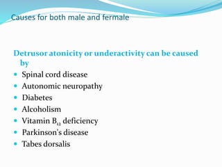 Common geriatric problems and their management | PPT