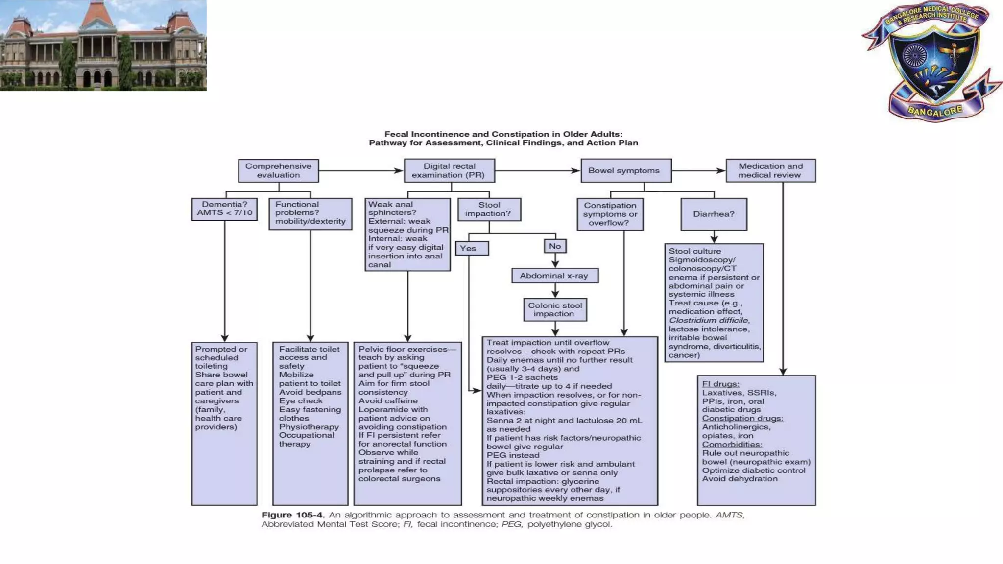 Common Geriatric Syndromes 1 Pptx