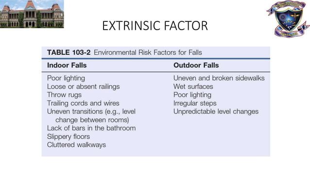 Common Geriatric Syndromes 1 Pptx