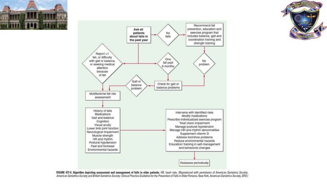 Common Geriatric Syndromes 1 Pptx