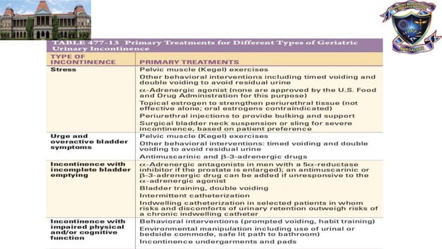 Common Geriatric Syndromes 1 Pptx