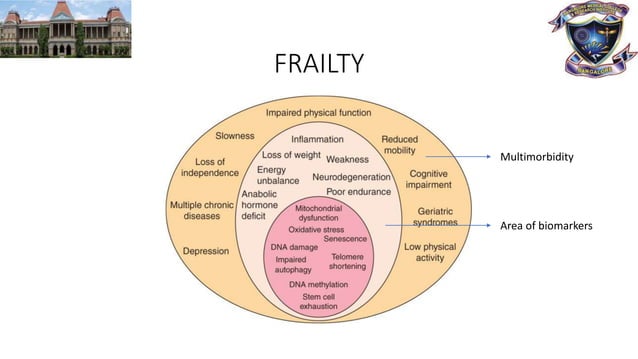 Common Geriatric Syndromes 1 Pptx