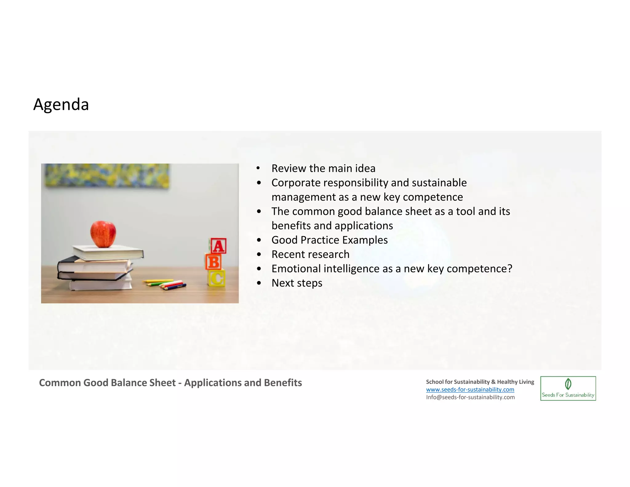 Common good balance sheet applications and benefits | PDF
