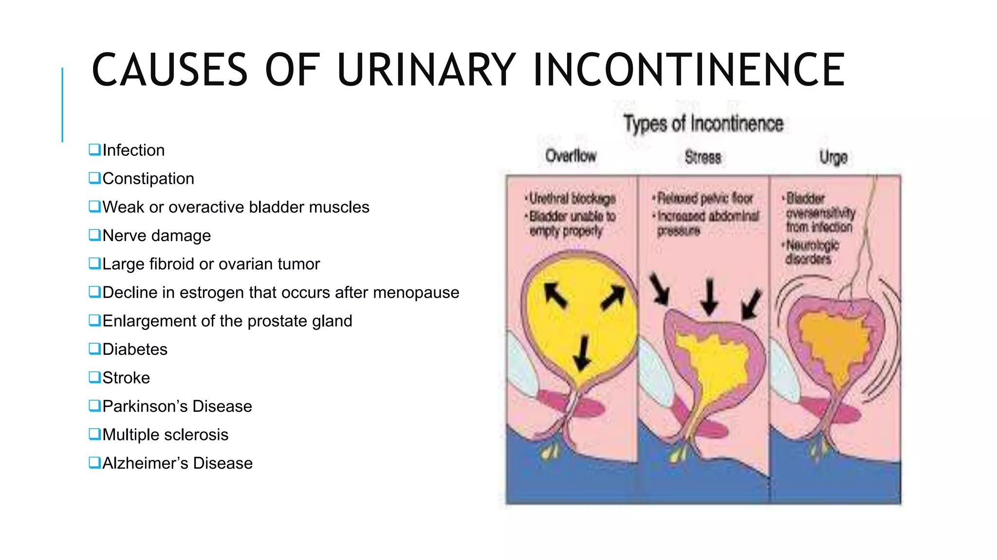 Common health problems in elderly.pptx