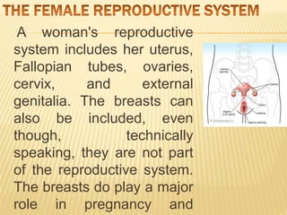Common health problems in women and risk factors | PPTX