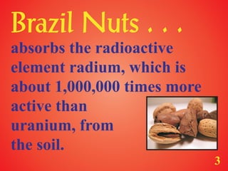 Common Items That Emit Radiation | PDF