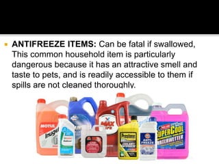 common household poisons.pptx
