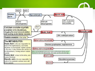 Common household poisons classification,mechanism of action uses and ...
