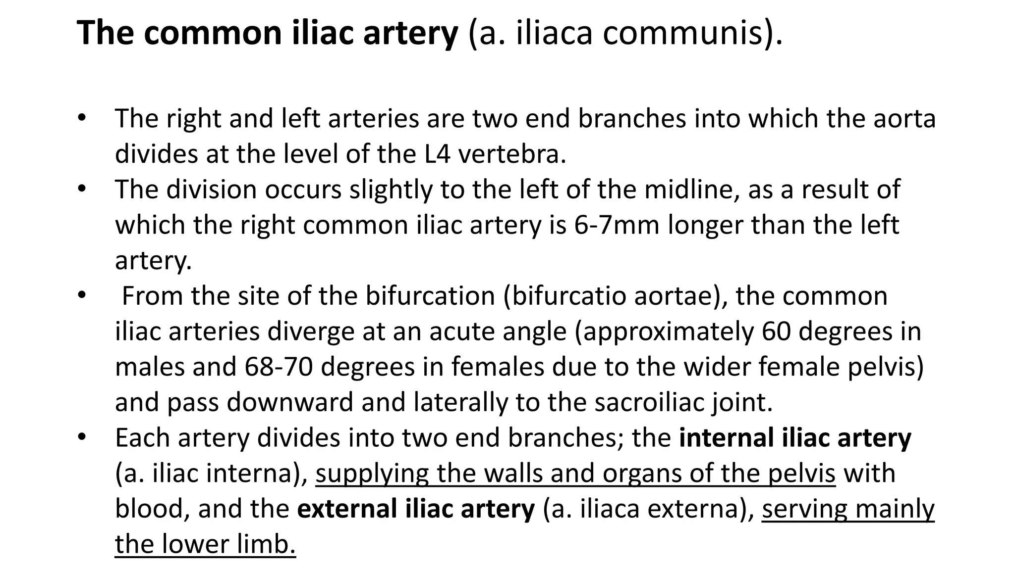Common Iliac Artery Anatomy.pptx