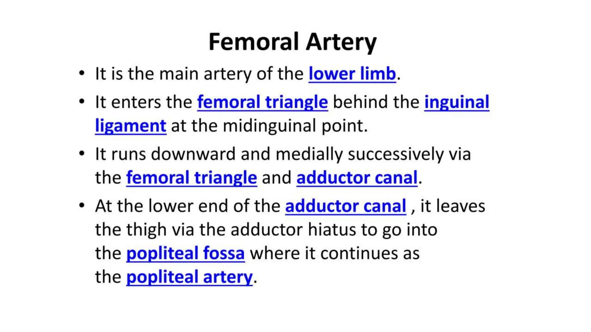 Common Iliac Artery Anatomy.pptx