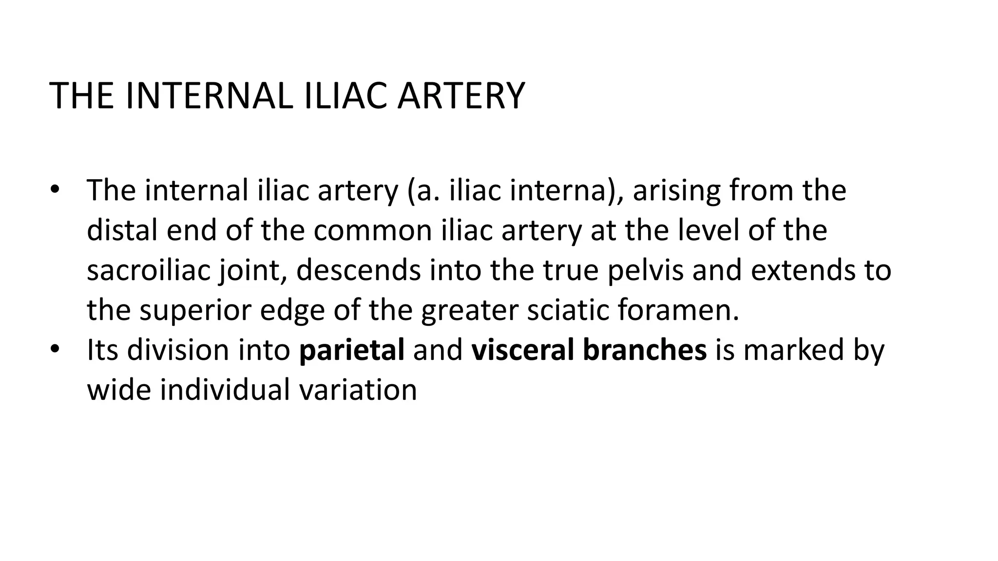 Common Iliac Artery Anatomy.pptx