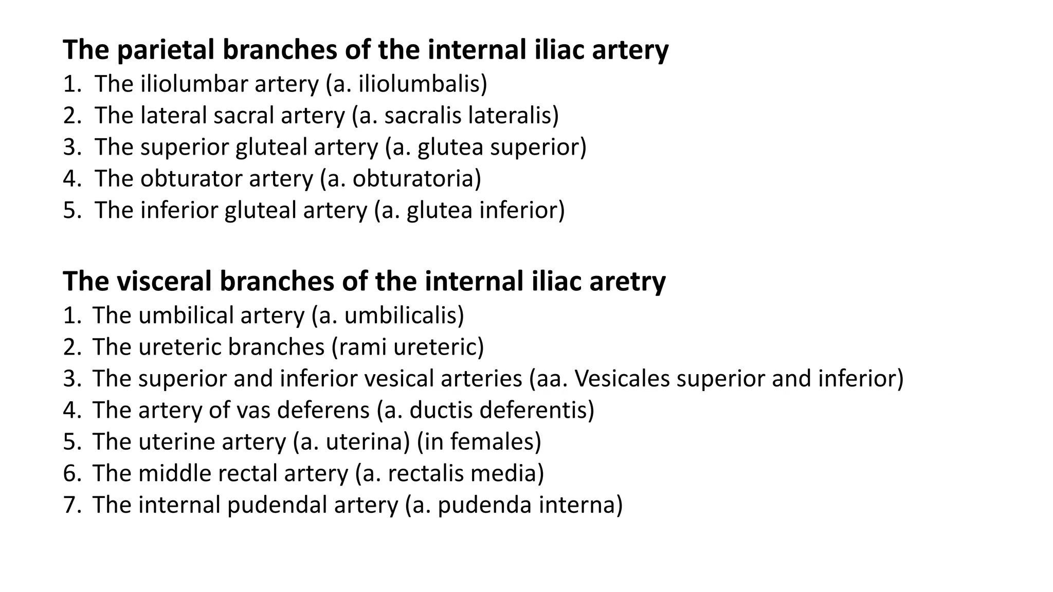 Common Iliac Artery Anatomy.pptx