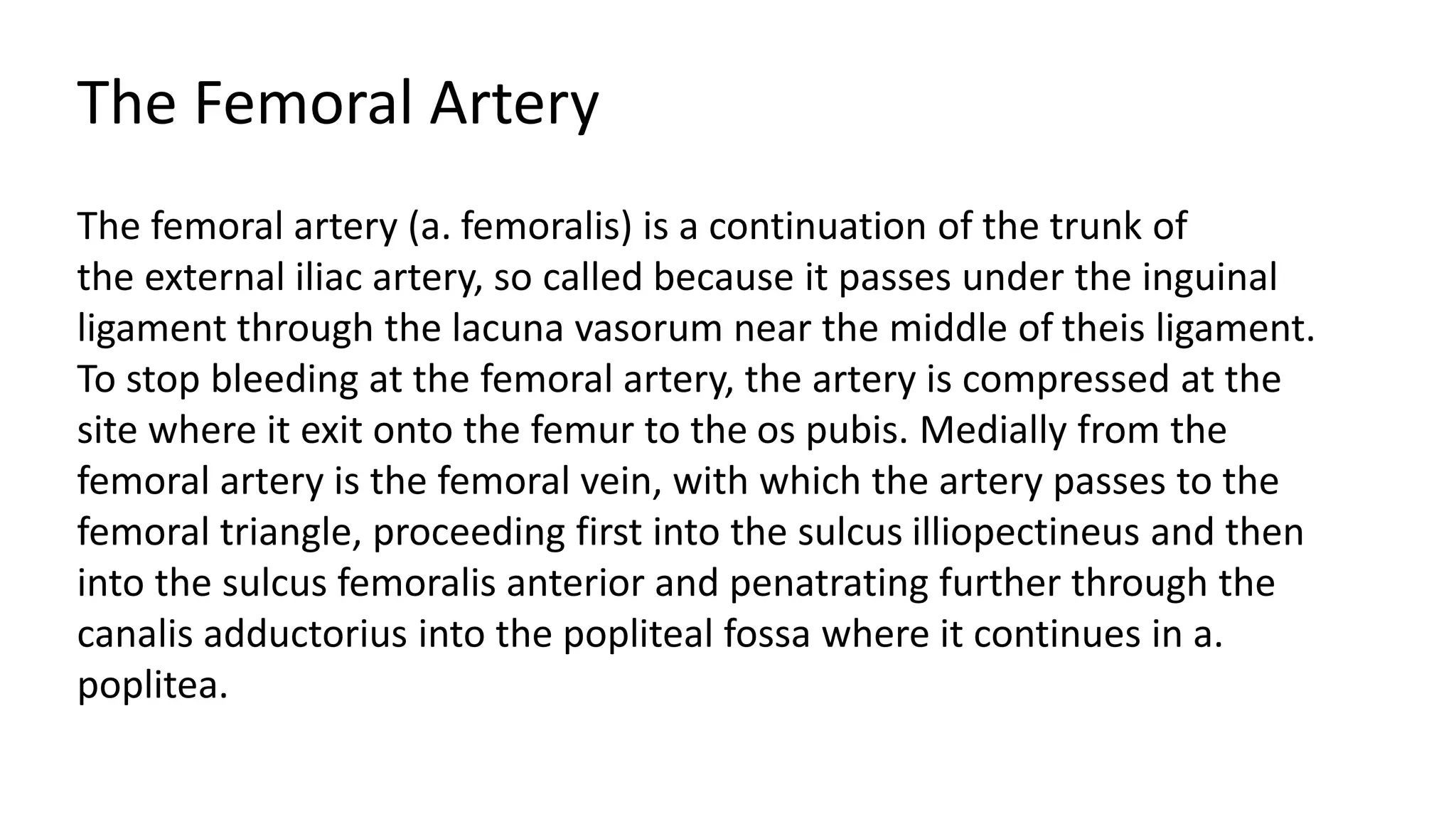 Common Iliac Artery Anatomy.pptx