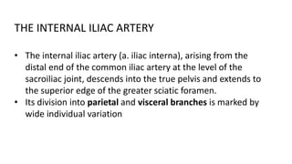 Common Iliac Artery Anatomy.pptx