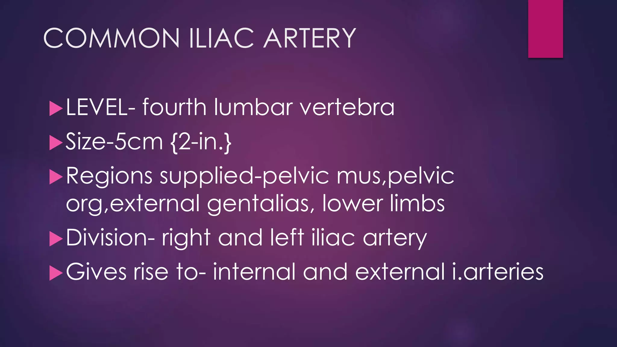 Common illiac artery | PPTX