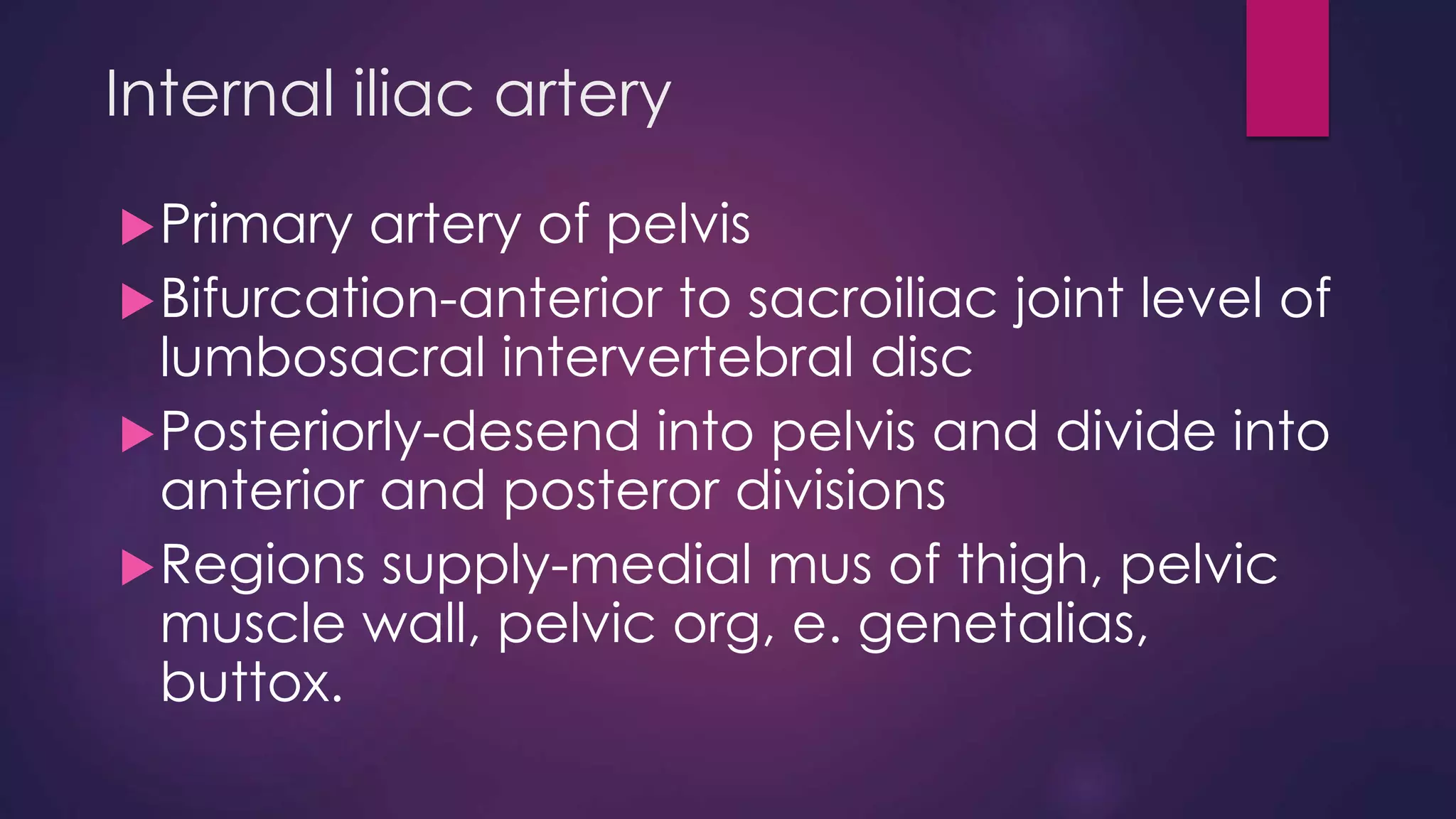 Common illiac artery | PPTX