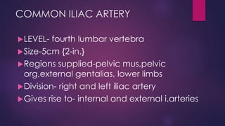 Common illiac artery | PPTX
