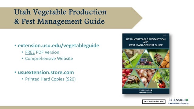 Common Insect Pests of Potatoes in Utah | PPTX