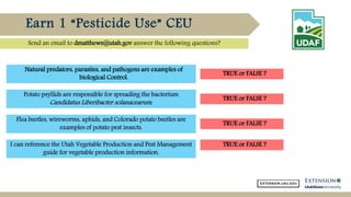 Common Insect Pests of Potatoes in Utah | PPTX