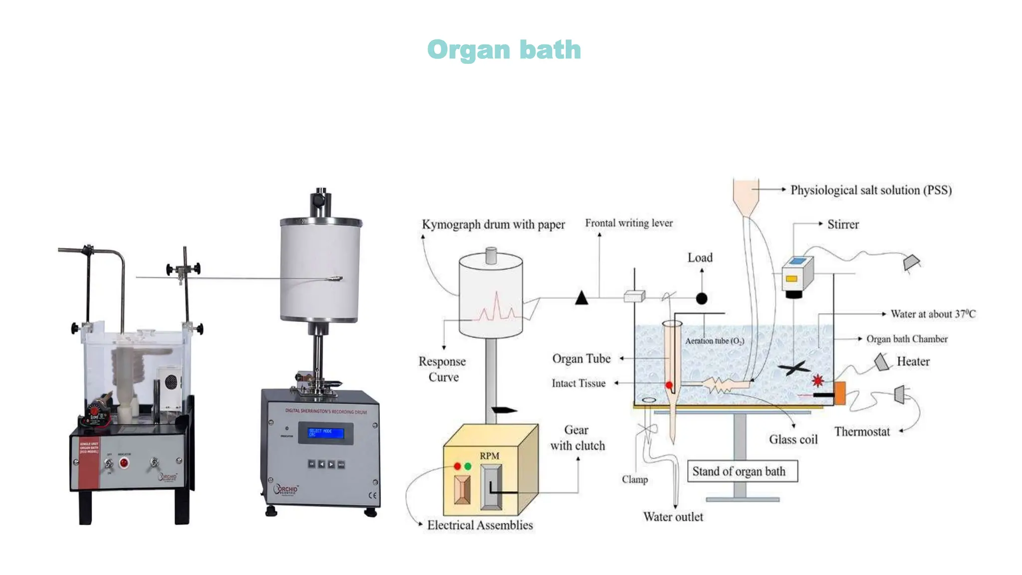 Common instruments used in pharmacology.pptx