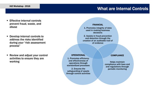 Common internal audit findings & how to avoid them | PPTX