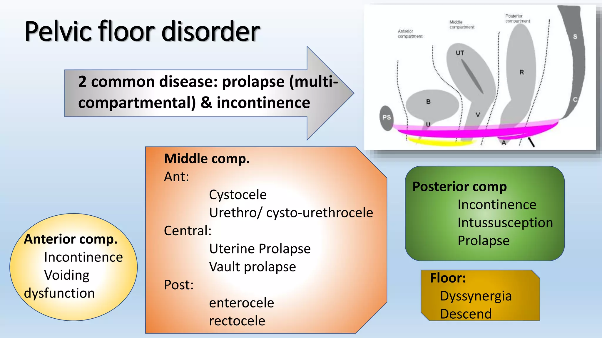 common investigations for pelvic floor.pptx