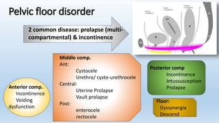 common investigations for pelvic floor.pptx