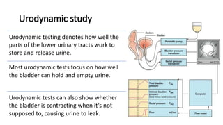common investigations for pelvic floor.pptx