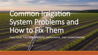 Common Irrigation System Problems and How to Fix.pptx