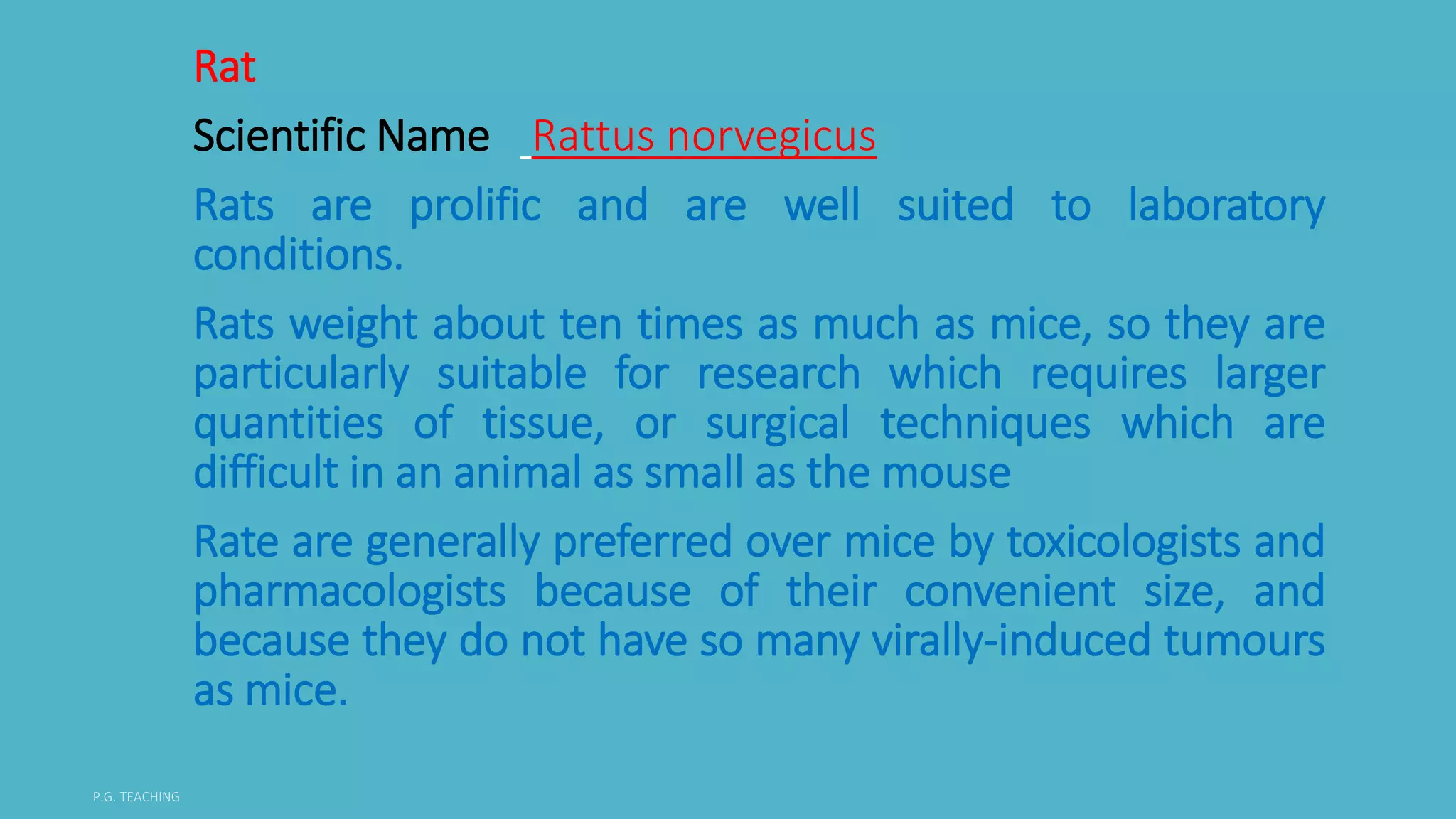 common_Lab_animal_and_breeding_colonies-1.pptx