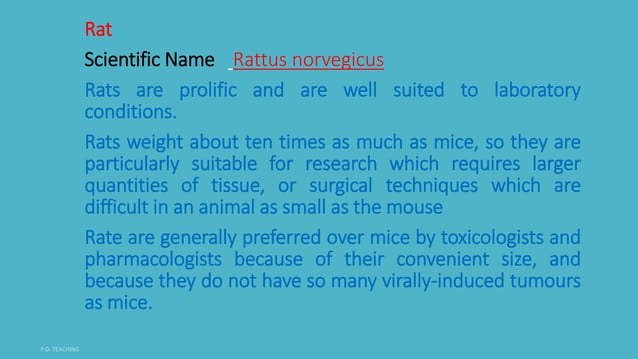 common_Lab_animal_and_breeding_colonies-1.pptx