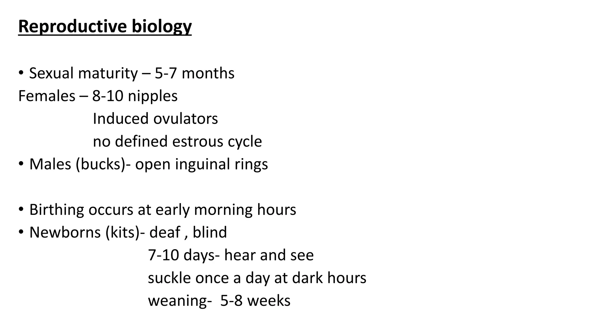 common lab animals.pptx