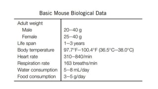 common lab animals.pptx