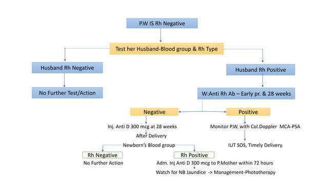 Common Lab Investigations in pregnancy with reference to Anaemia ...