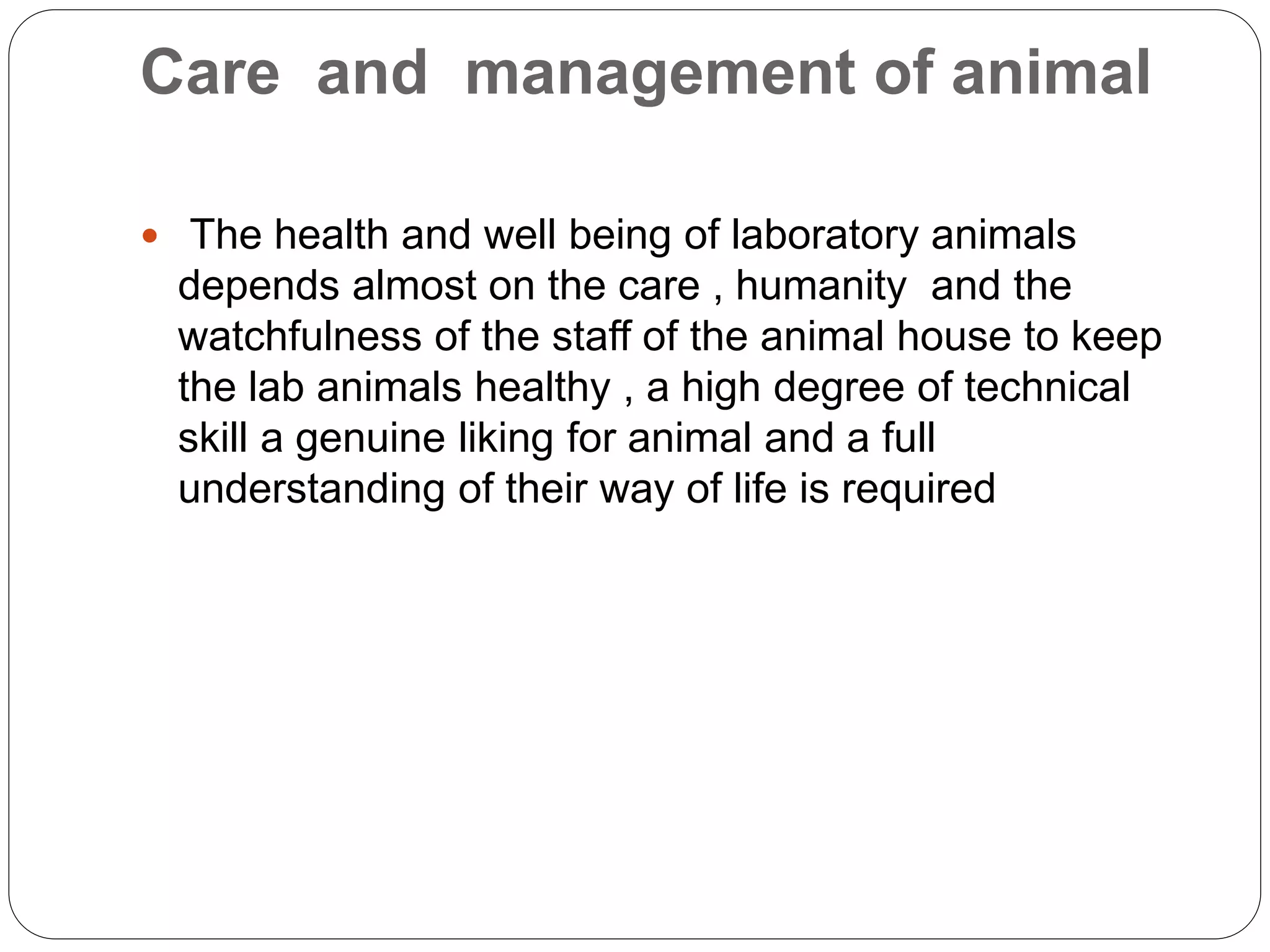 Common laboratory animals | PPTX
