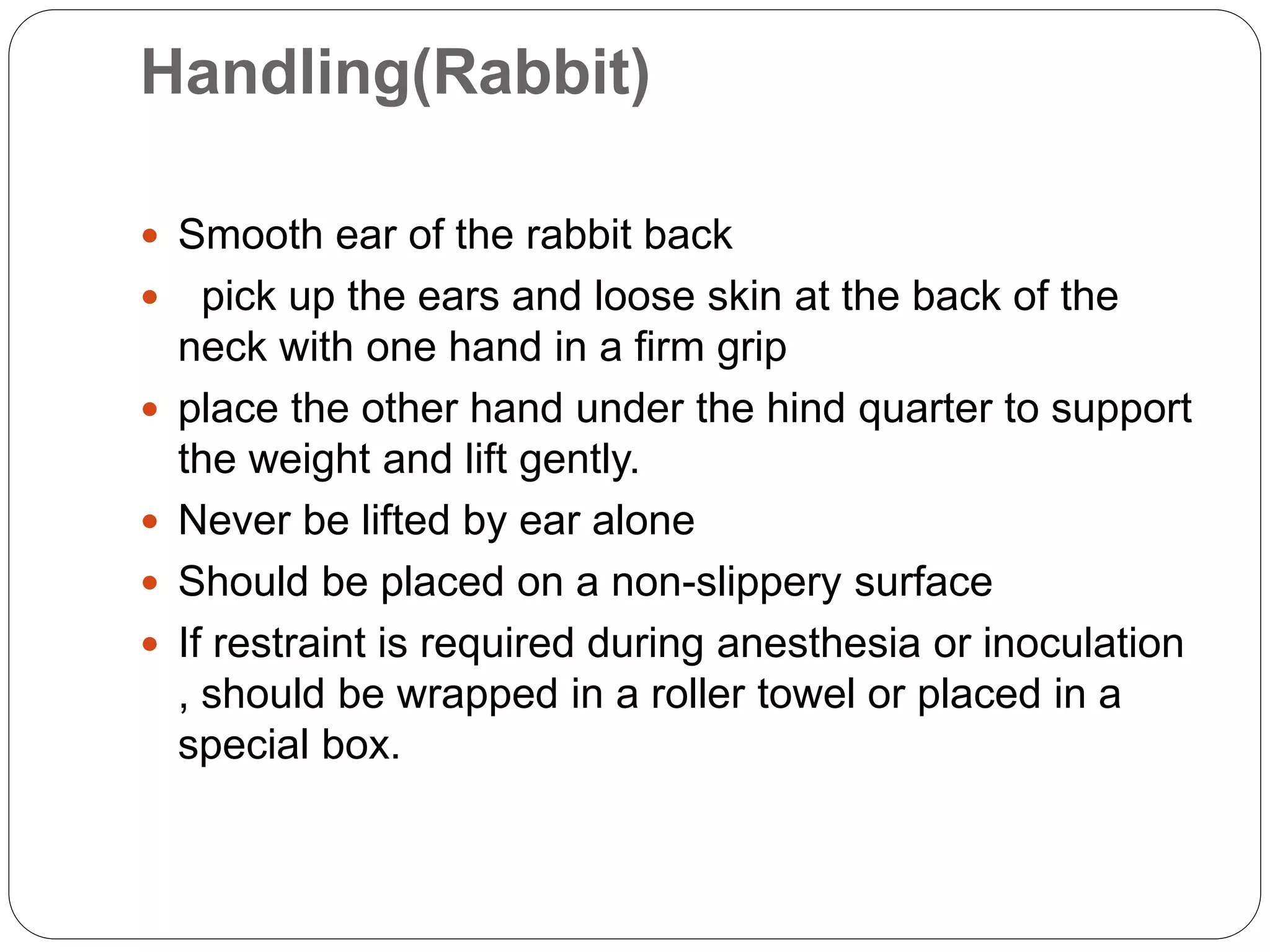 Common laboratory animals | PPTX