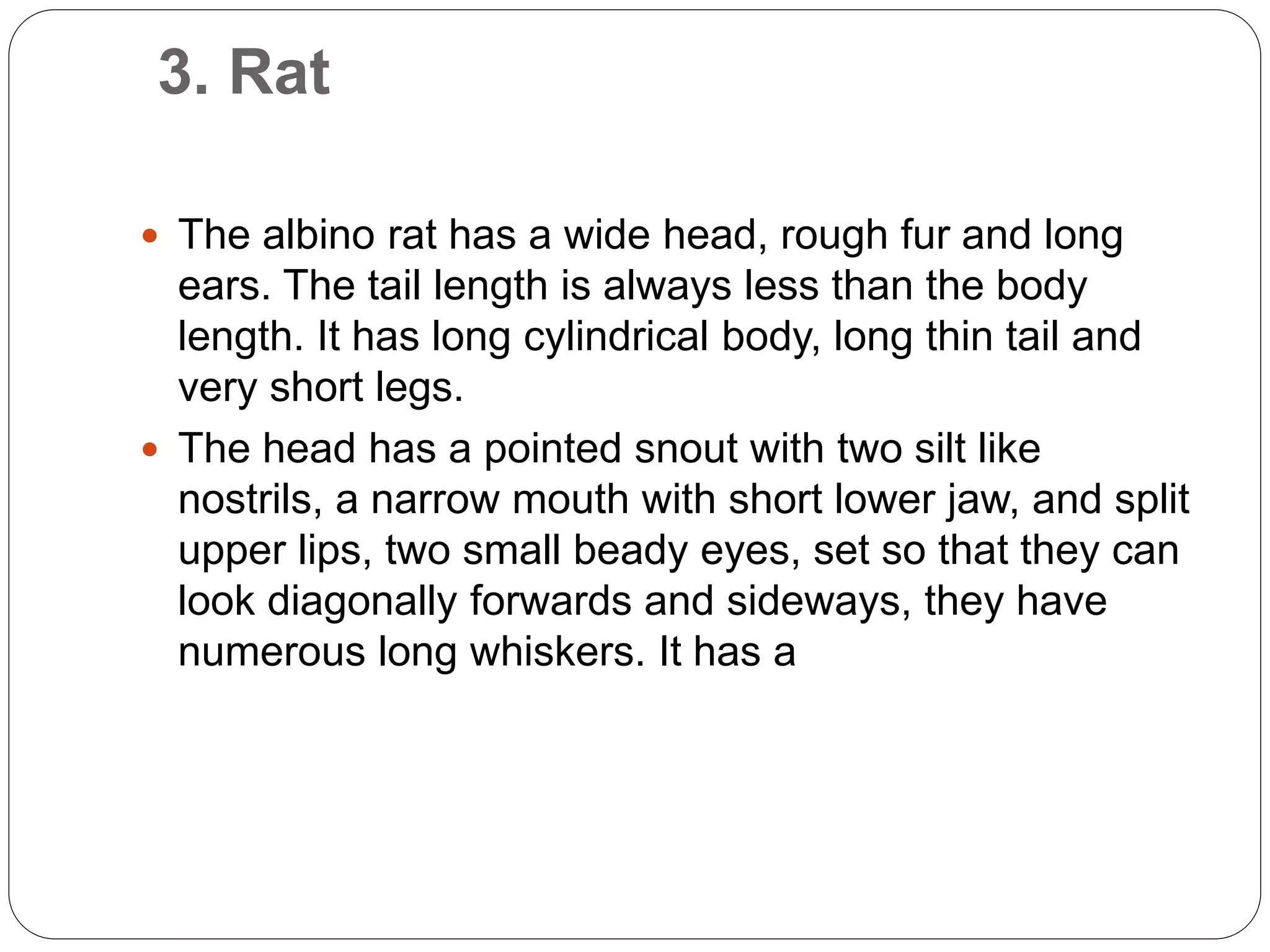Common laboratory animals | PPTX